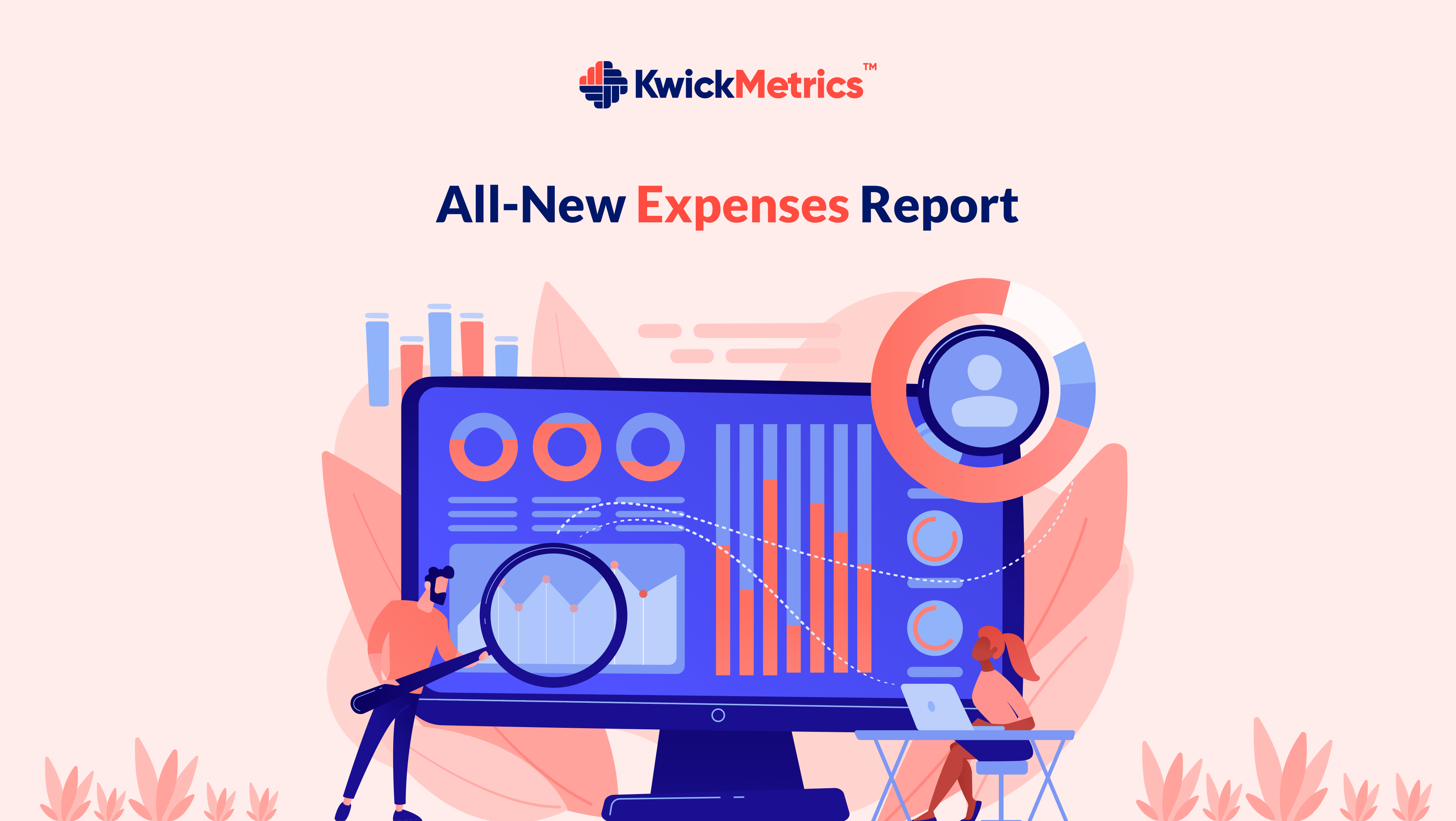 How To Use the All-New Expenses Report